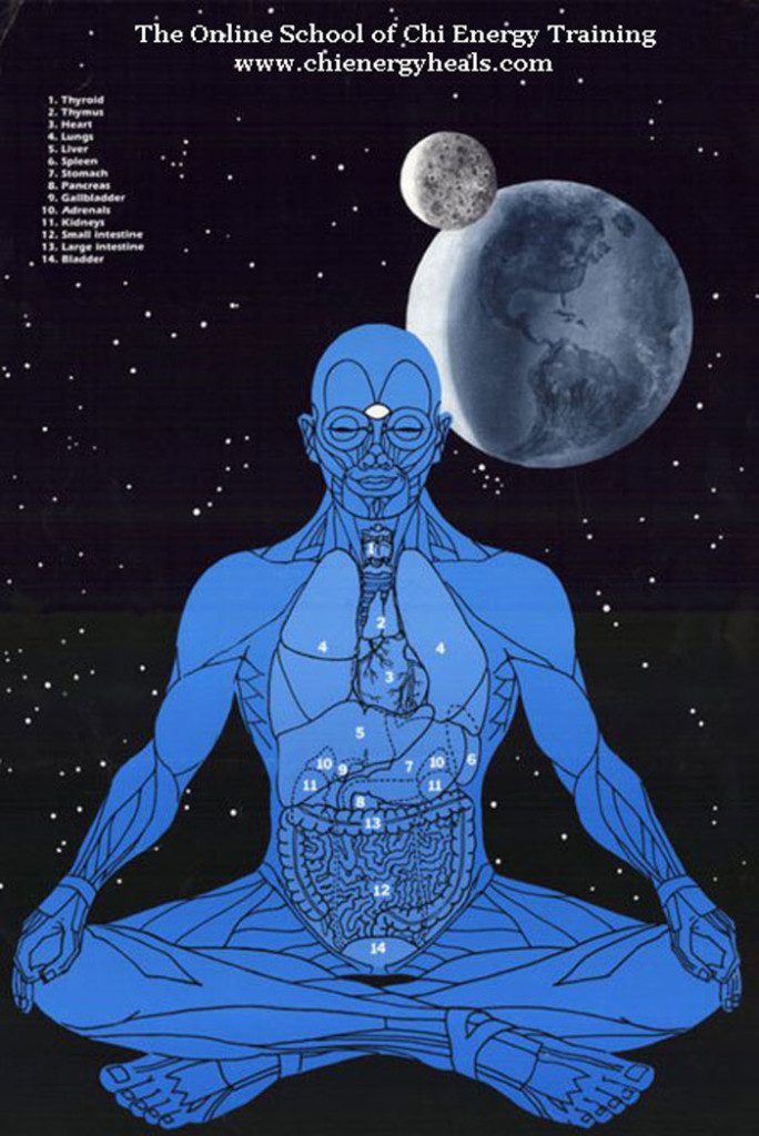 Chi Energy Organ Balancing Energy exercise – Chi Energy Training Blog