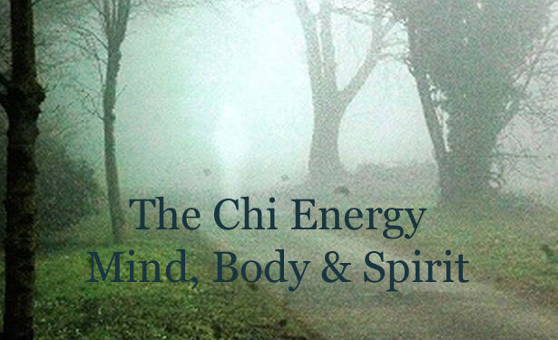Chi Energy Training Blog | School of Chi Energy