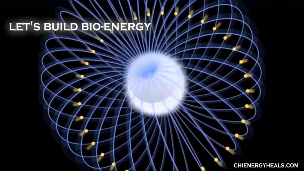 The Diversity of Chi Energy Student Backgrounds – Chi Energy Training Blog